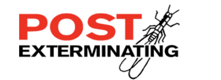 Experience | Cecelia Mauro